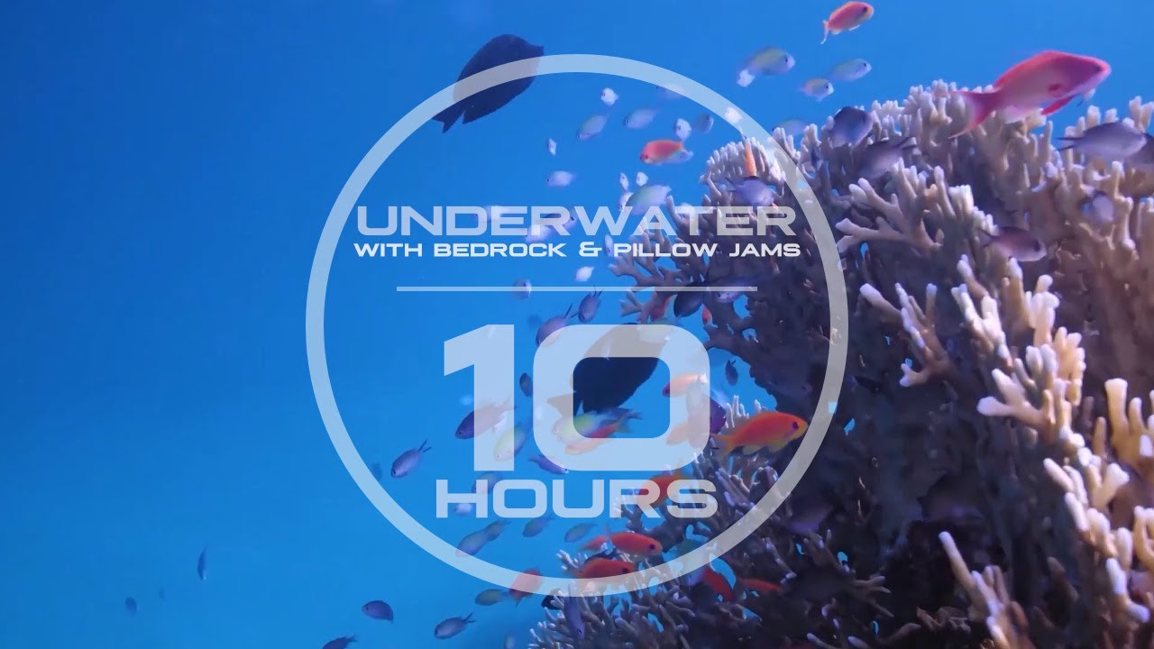 10 hour Magnificent Underwater Views, Relaxing Oceanscapes, Sleep ...