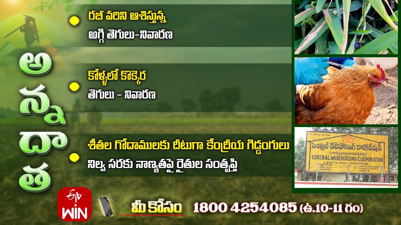 21st March 2024 | Annadata | అన్నదాత | Full Episode | ETV Telugu - YouTube