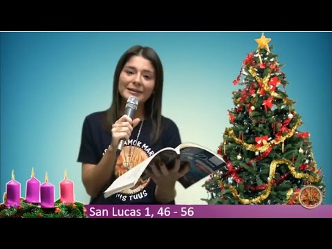 NOVENA DE NAVIDAD | LECTIO DIVINA | EN VIVO -22/12/2016- - YouTube