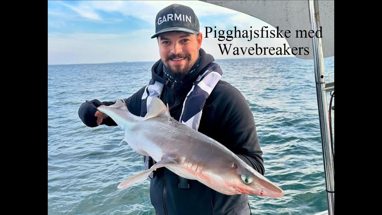 Hajfiske med Wavebreakers - YouTube