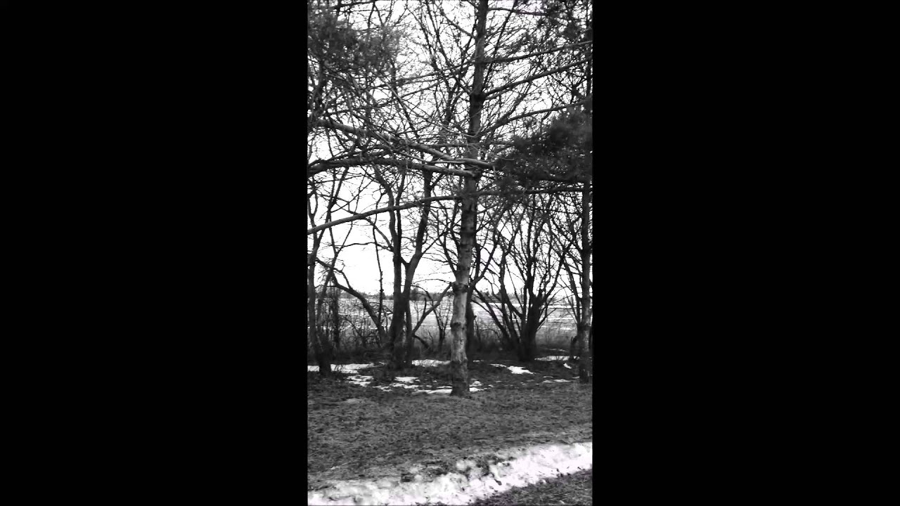 Question by May Swenson - YouTube