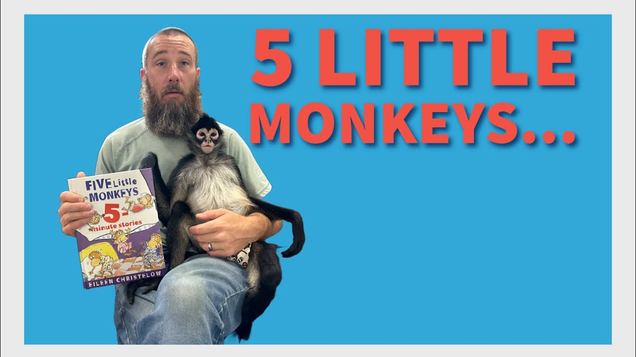 We can’t get the monkeys to cooperate for storytime🤣 #monkeys #animals ...