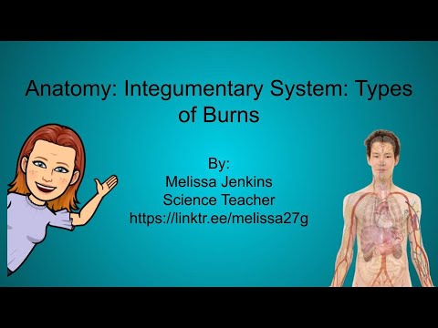 Anatomy: Integumentary System: Types of Burns - YouTube