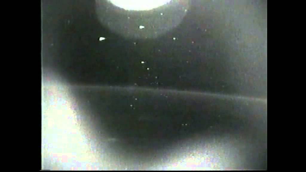 NASA calls STS-75 UFO gathering "STAR TREK" - YouTube