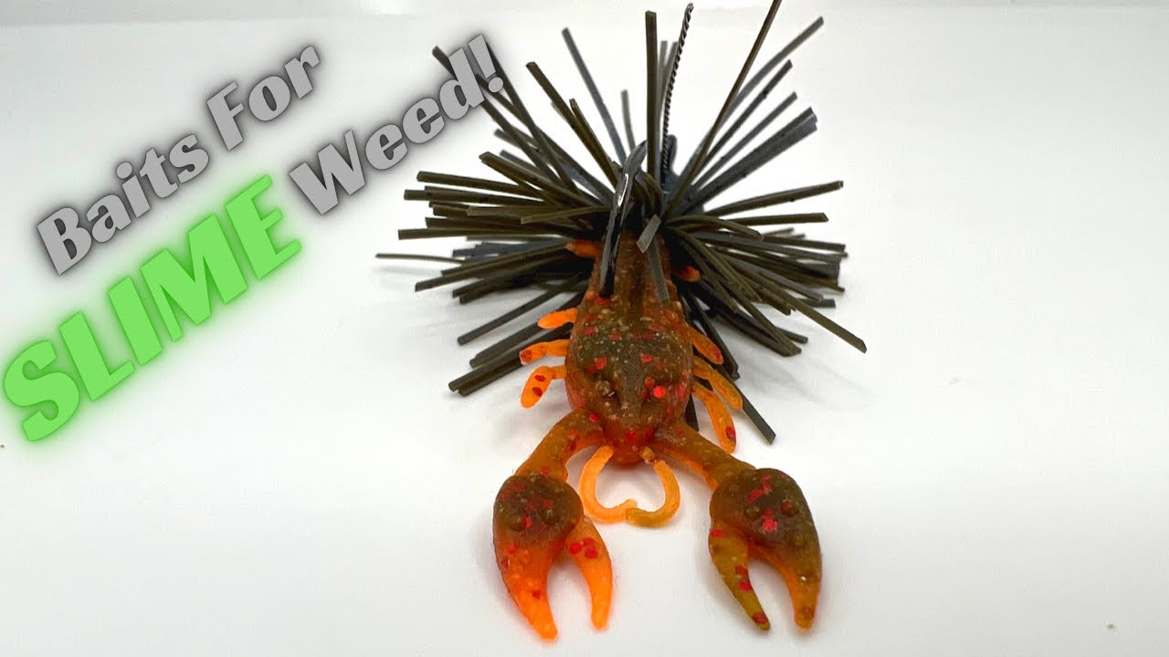 These Baits Dominate When Fishing Slime Weed! - YouTube