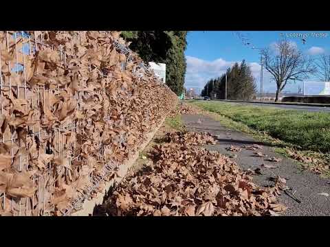 Letenye szélvihar 2023 február 04.