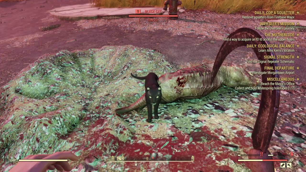 Fallout 76 black cat - YouTube