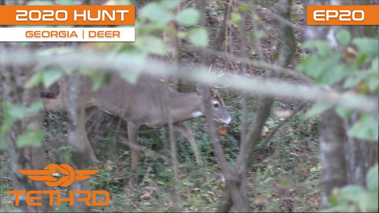 2020 Tethrd Hunt Tour - URBAN HUNTING GEORGIA BUCKS! - YouTube