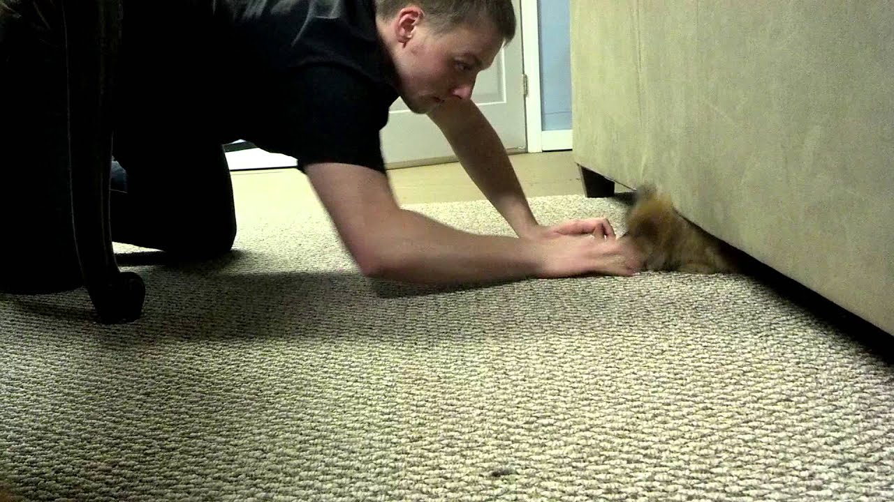 Real life gremlin! - YouTube