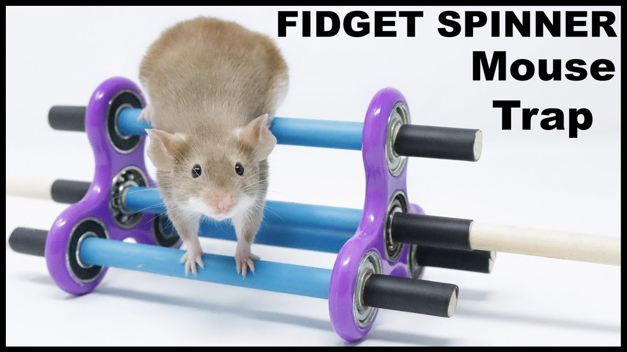 A Crazy FIDGET SPINNER Mouse Trap. The Mouse-Trap-EZ. Mousetrap Monday ...