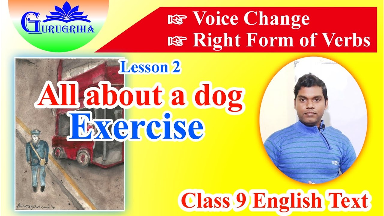 All About a Dog Exercise 5 to 8(Grammar) || Voice Change | Right Form ...