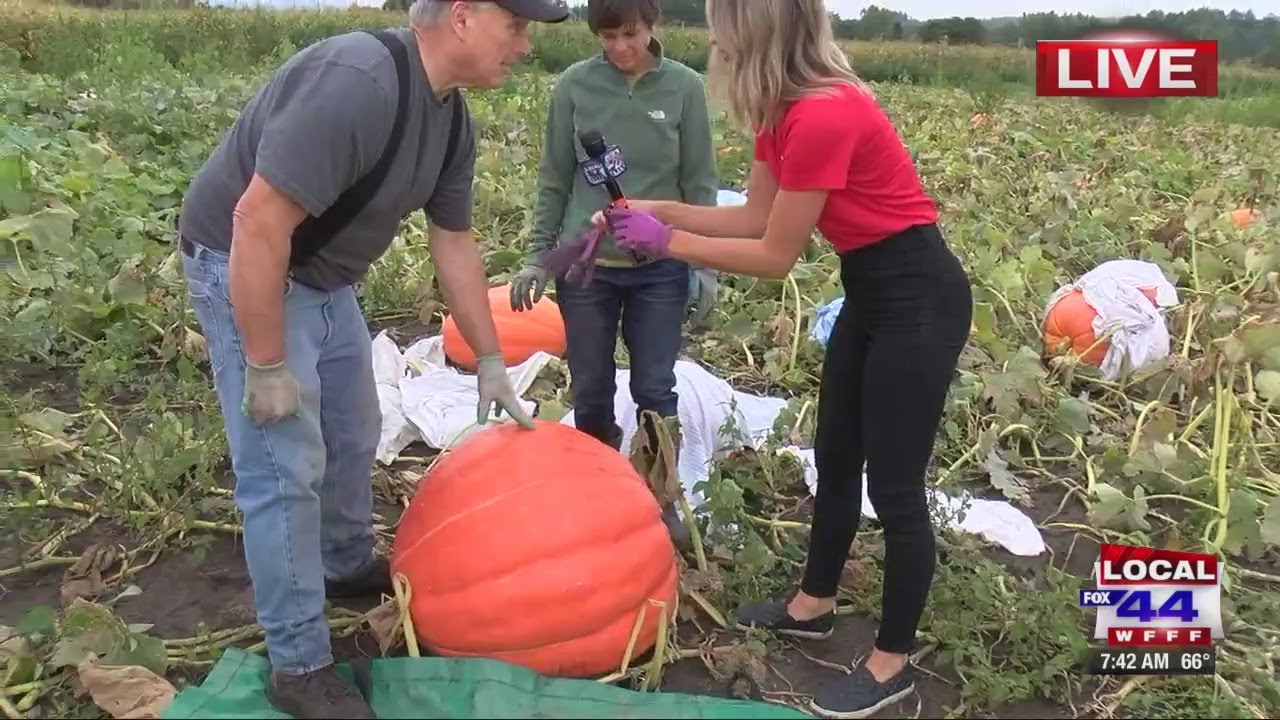 Whitcomb's Land of Pumpkins - Pumpkin transportation - YouTube