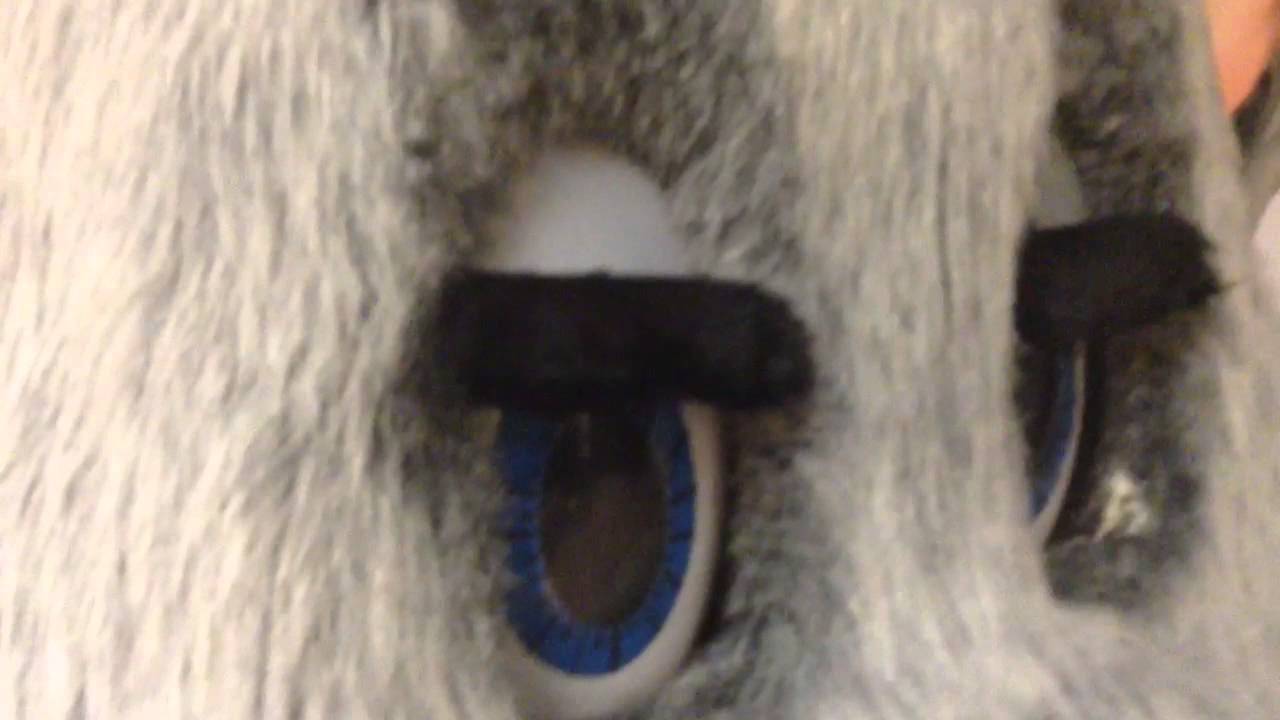 Up lose and Personal with the Animatronics - Studio C Beta Chuck E's ...