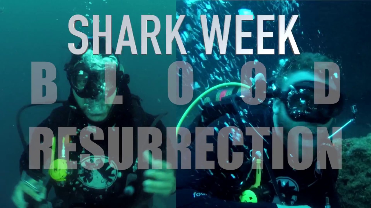 Shark Week: Blood Resurrection - YouTube