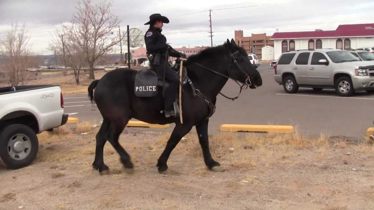 Albuquerque Police Department APD Mounted Unit Rides In Kirtland ...