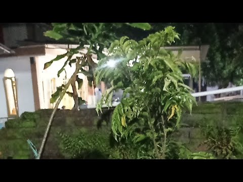 Live-24🔴] Nikmati Mlm Kamis dg Nyimak Pengajian Ust Waryono Musholla ...