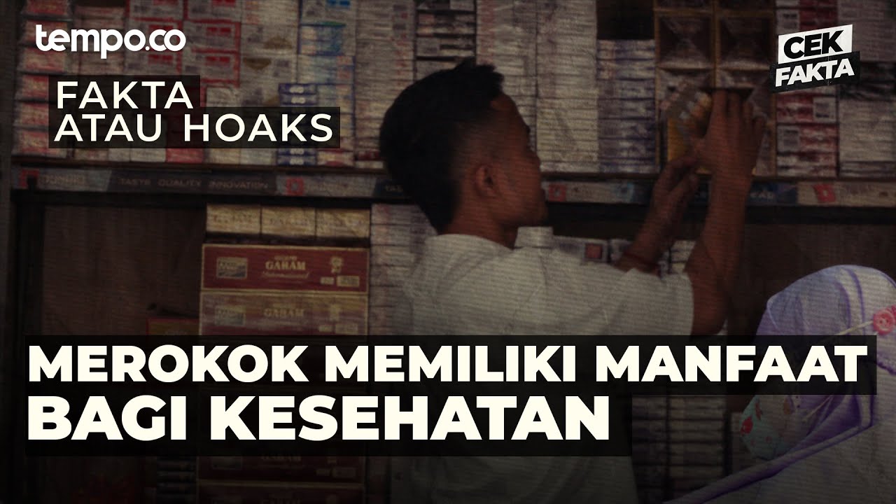 Benarkah Klaim tentang Manfaat Rokok bagi Kesehatan? | Cek Fakta Tempo ...