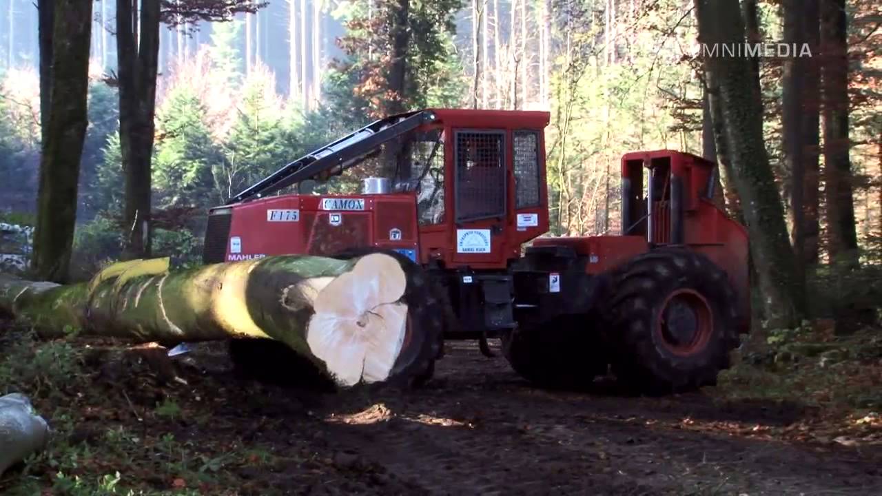 Entreprise Forestière Daniel Ruch - YouTube