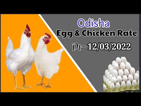 12/03/2022କୁକୁଡ଼ା, ଅଣ୍ଡା, ମାଂସ, ମାଛ ଦର || Today #Suguna || #Pasupati ...
