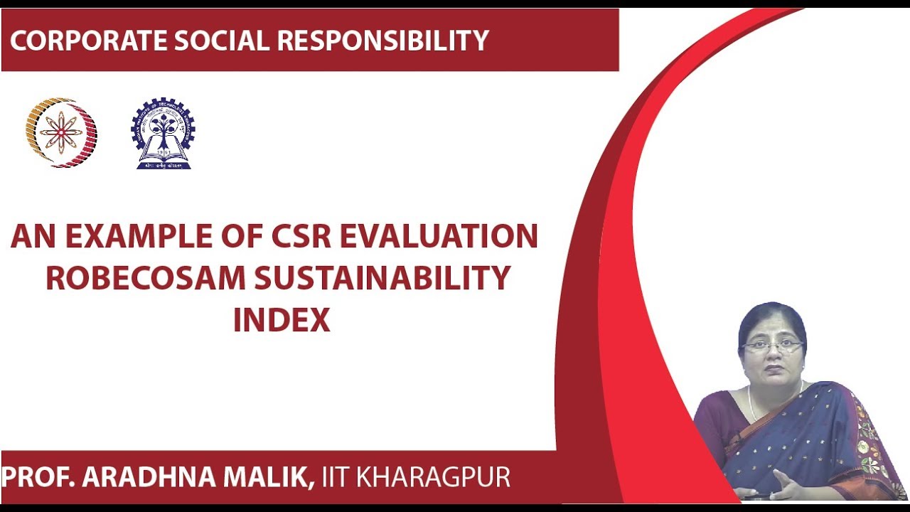 An Example of CSR Evaluation: RobecoSAM Sustainability Index - YouTube