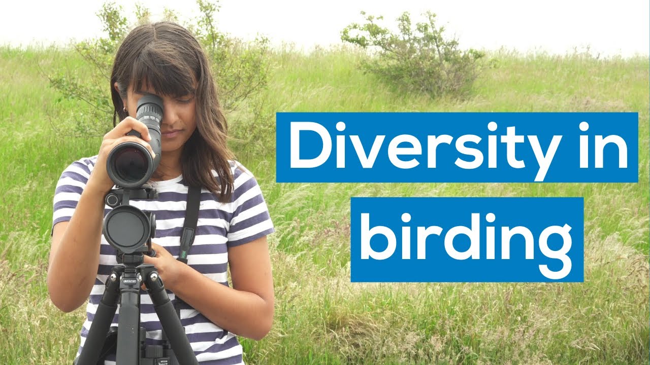 Diversity in birding - YouTube