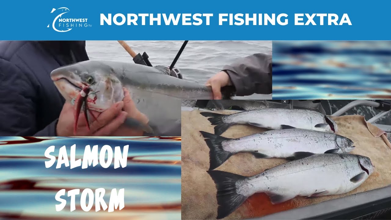 Puget Sound Fall Coho Storm Coming! - Extended Cut - YouTube