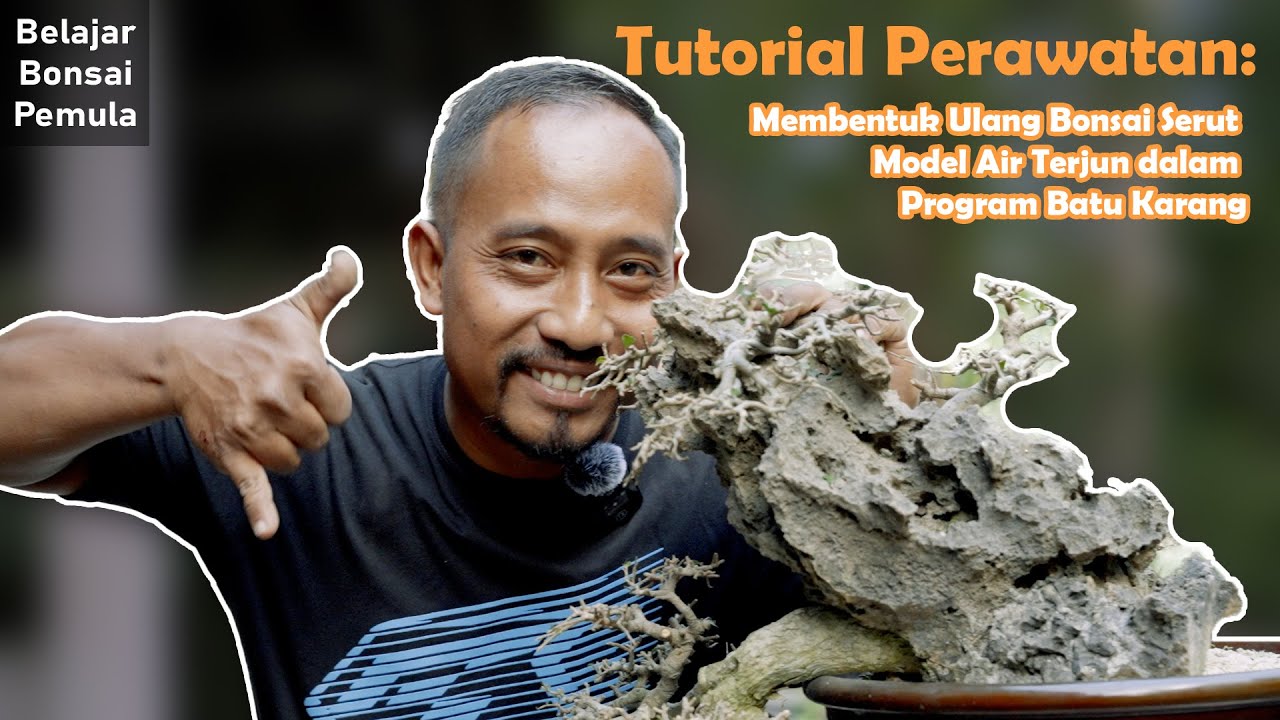 Membentuk Ulang Bonsai Serut Model Air Terjun dalam Program Batu Karang ...