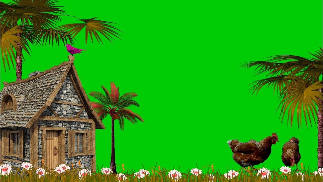 Chicken Green Screen | Green Screen Background | Village Green Screen ...