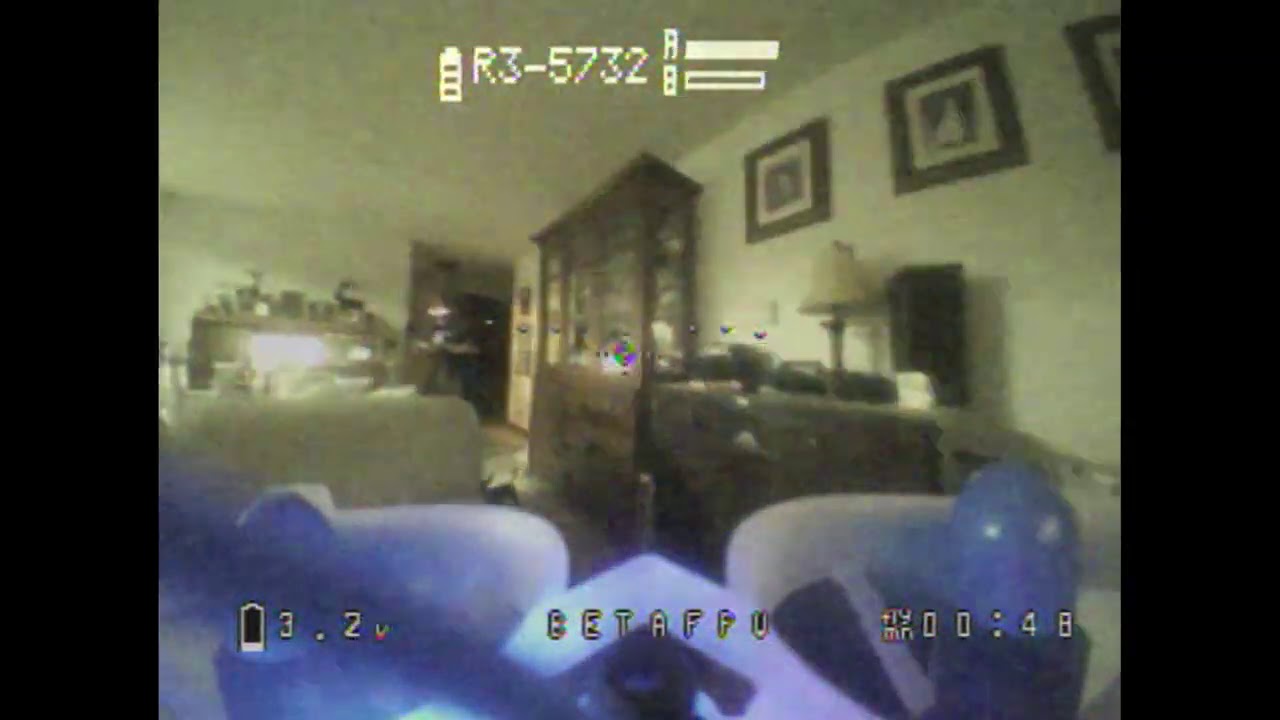 Chasing Dixie with Zumofpv's whoop - YouTube