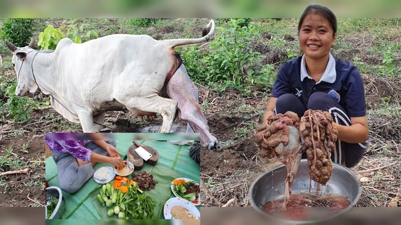 ញាំសុកគោ / cook placenta cow and eat with Brahok sauce - YouTube