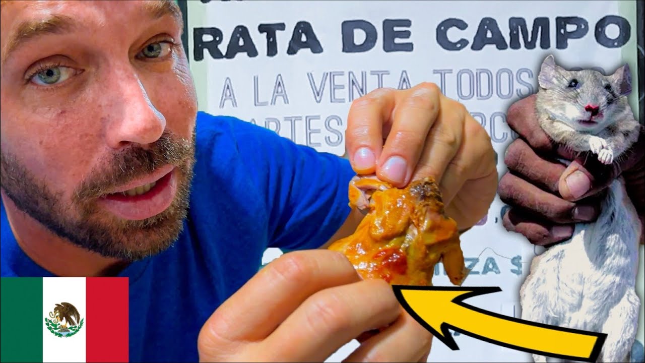 COMEN RATA en ESTA CIUDAD en MEXICO 🐀😳🇲🇽 - YouTube