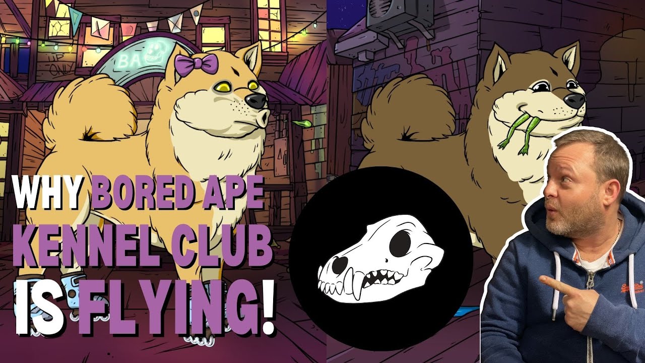 Bored Ape Kennel Club Mooning - Why? (BAKC NFT) - YouTube