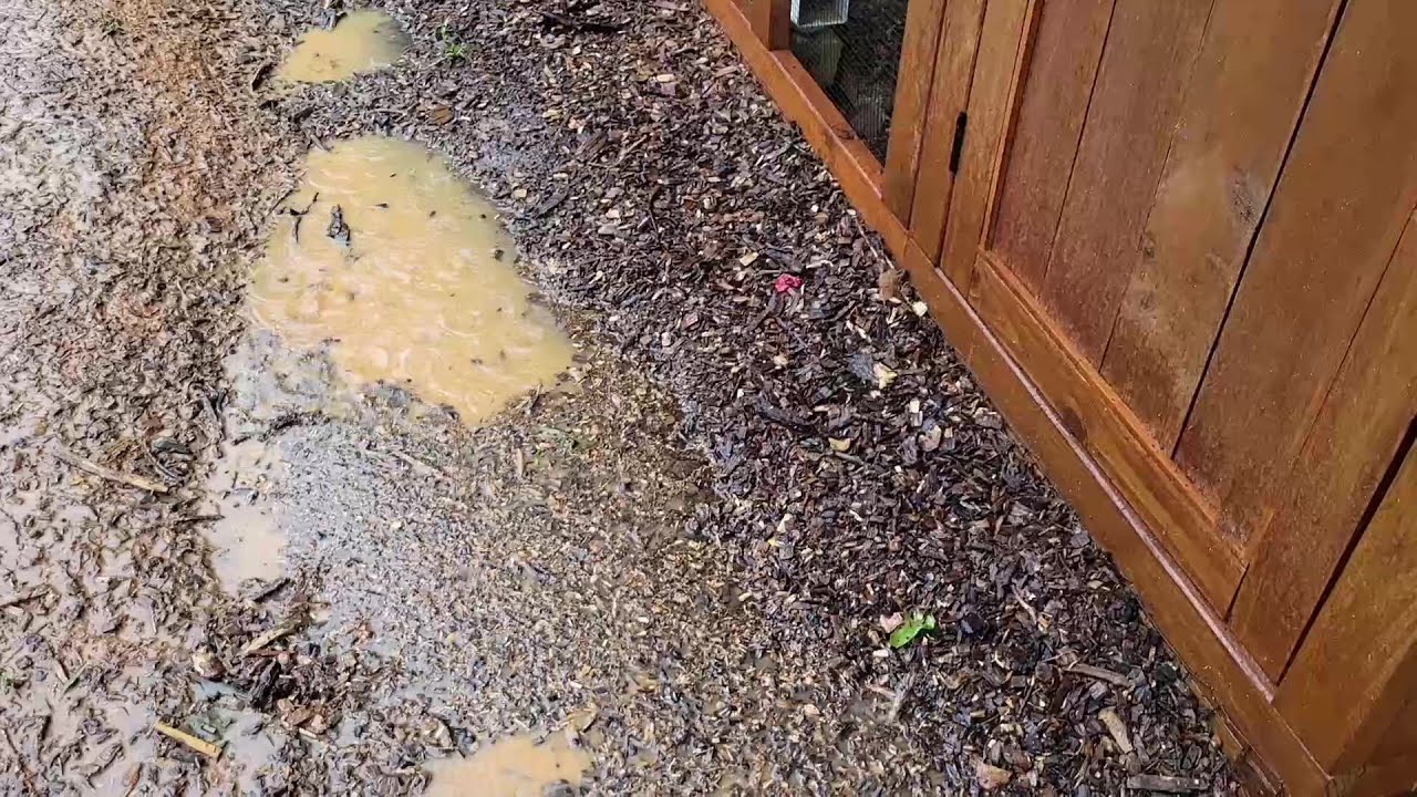 Rain Rain and More Rain | The Importance of Good Drainage - YouTube