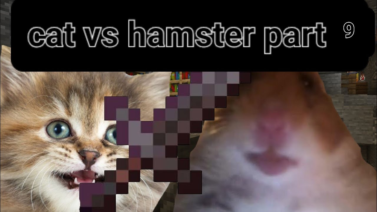 cat vs hamster part 9 | the true power of hamster - YouTube