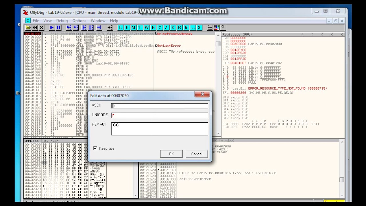Shellcode Youtube