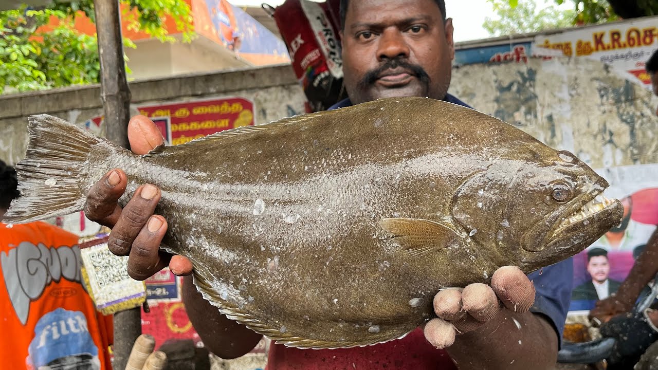 KASIMEDU 🔥 SPEED SELVAM | BIG SOLE NAKKU FISH CUTTING VIDEO | 4K VIDEO ...