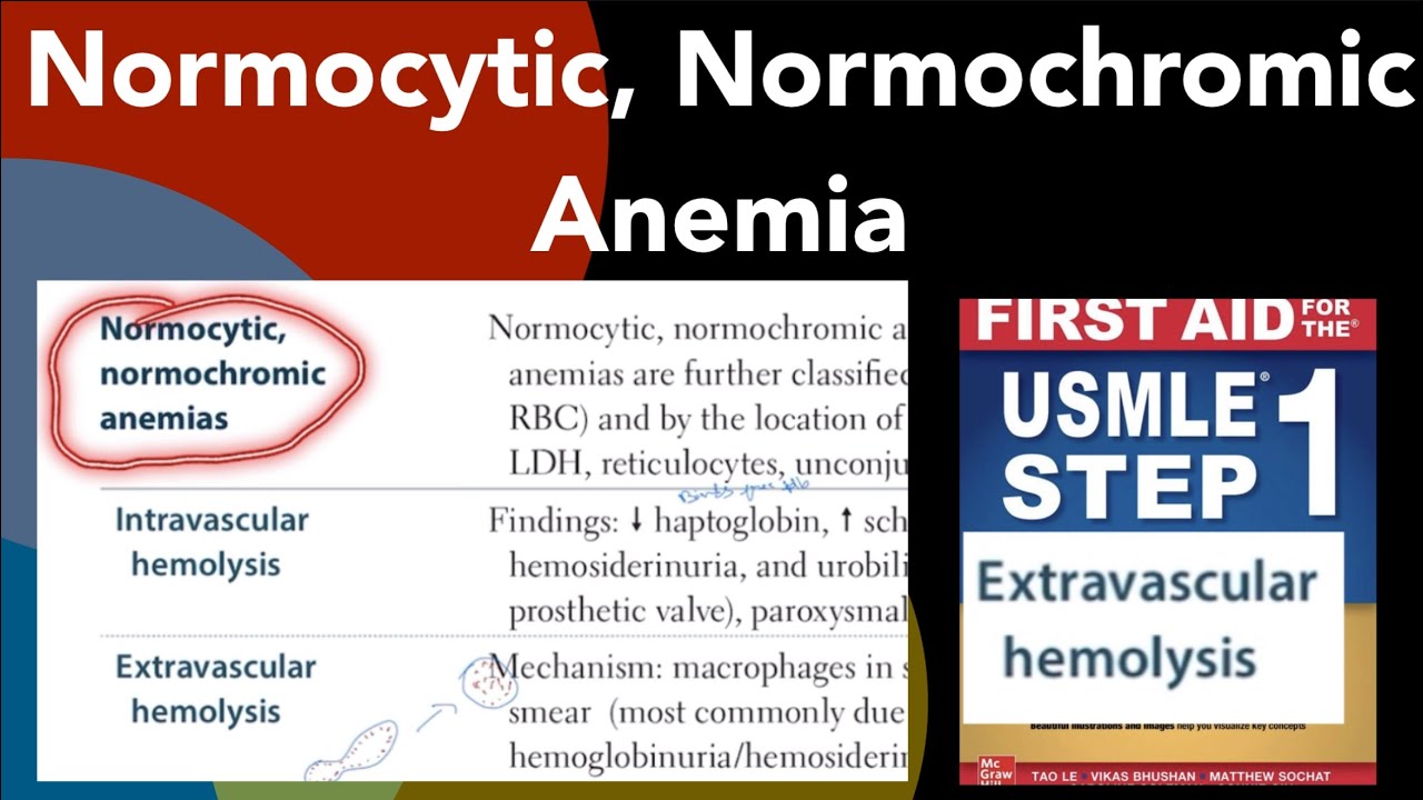 Normocytic Normochromic Anemia s In Hindi Urdu By First Aid For The