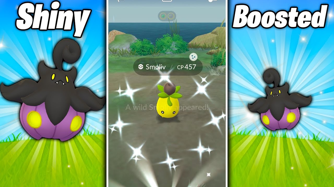 HOW TO GET SHINY SMOLIV IN POKEMON GO! Catching Shiny Pumpkaboo has ...