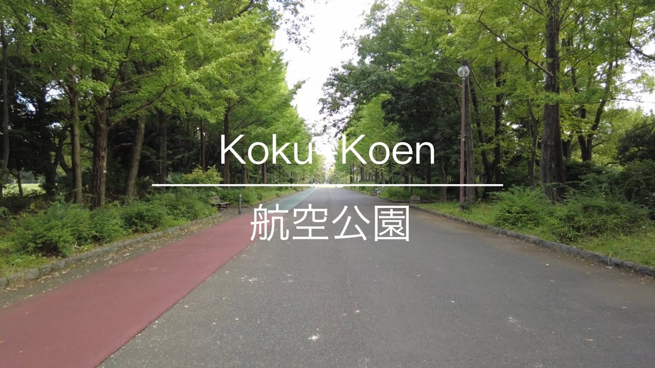 [4K] Koku-Koen 航空公園 [Saitama 埼玉] [Walk 散歩] #22 - YouTube