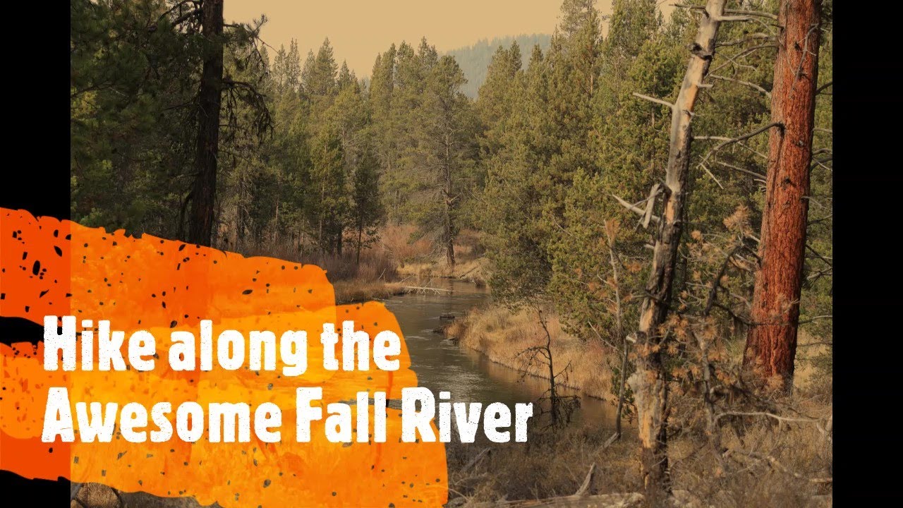 Hiking along Fall River in Central Oregon. Beautiful - YouTube