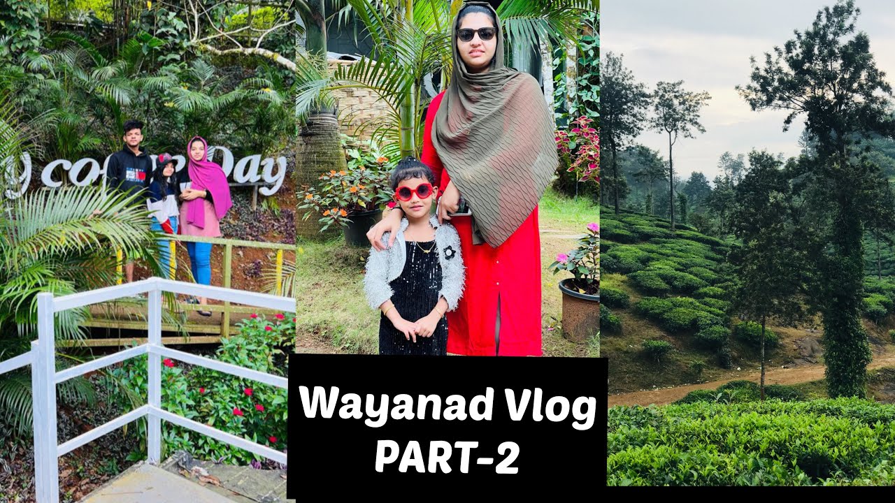 WAYANAD Vlog|തെയില തോട്ടത്തിലെ കാഴ്ച്ചകള്‍|knowledge city markuz|Part-2 ...