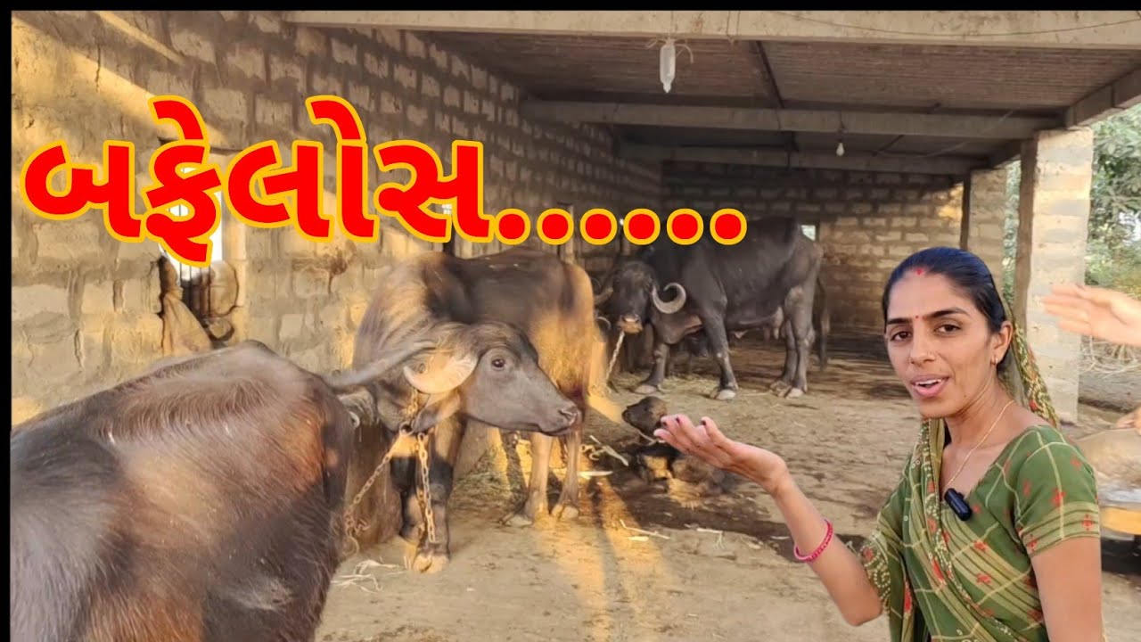 ghumra lidha || seva sakri ||@JSKLife behind EP 51 - YouTube