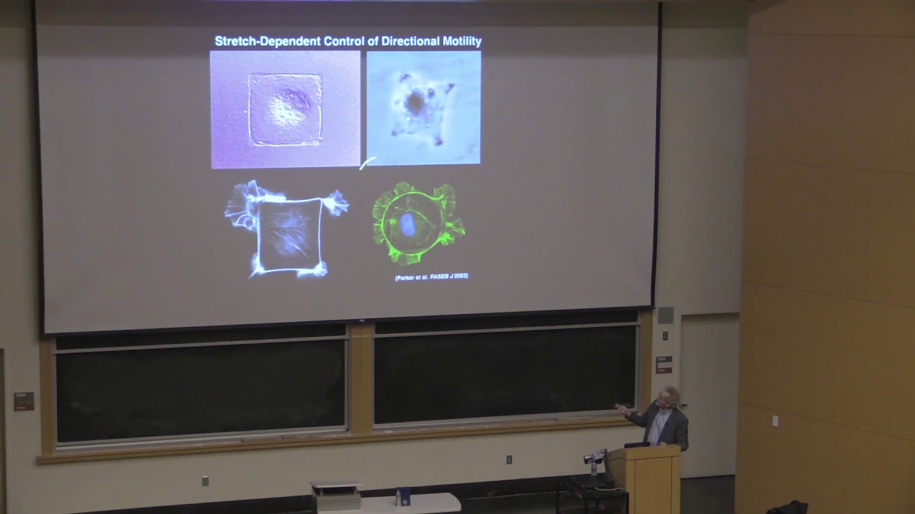 2018 Distinguished Lecture in Bioengineering - Dr. Donald Ingber - YouTube