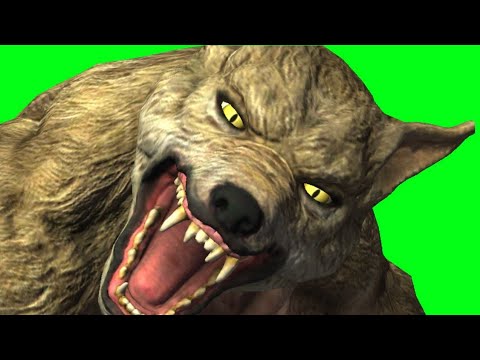 werewolf white green screen animation video | werewolf green screen ...