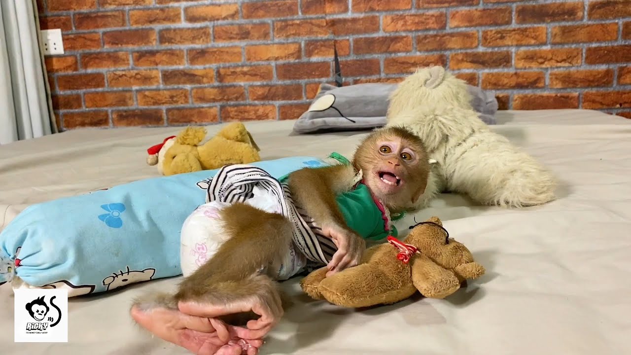 The monkey will dream it, dream that his mother went to the market and ...