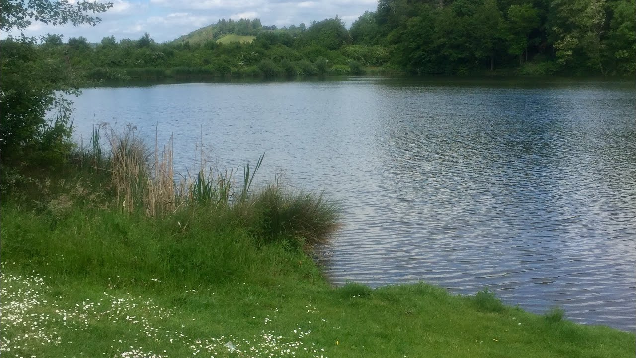 Naturpark Stromberg Heuchelberg, Katzenbachsee. - YouTube