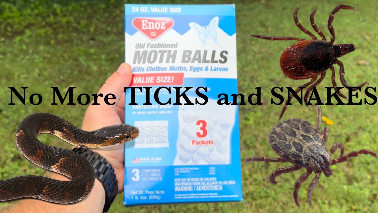 How to Get Rid of TICKS and SNAKES Easy DIY Home Remedy | The Best ...
