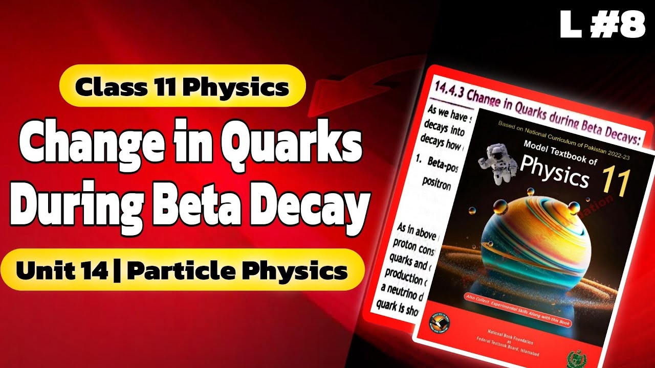 Change in Quraks During Beta Decay | Class 11 Physics NBF | Chapter 14 ...