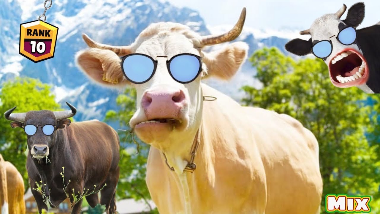 CRAZY COW DANCE | SONG 🤠 VIDEOS COW | DANCE SONG - YouTube