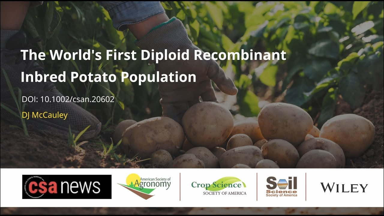 The World's First Diploid Recombinant Inbred Potato Population--CSA ...